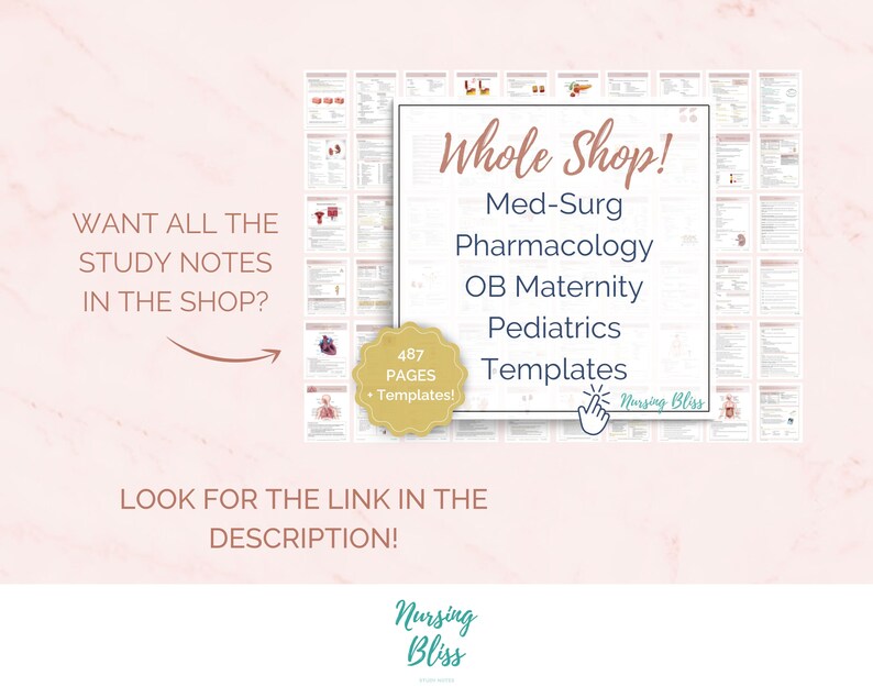 GI Disorders Bundle Nursing Notes | Student Study Guides | Digestive ...
