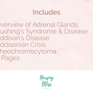 Endocrine Bundle Nursing Notes Student Study Guides | Etsy