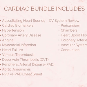 Cardiac Bundle Study Guide for Med Surg | Including Pharmacology and ...