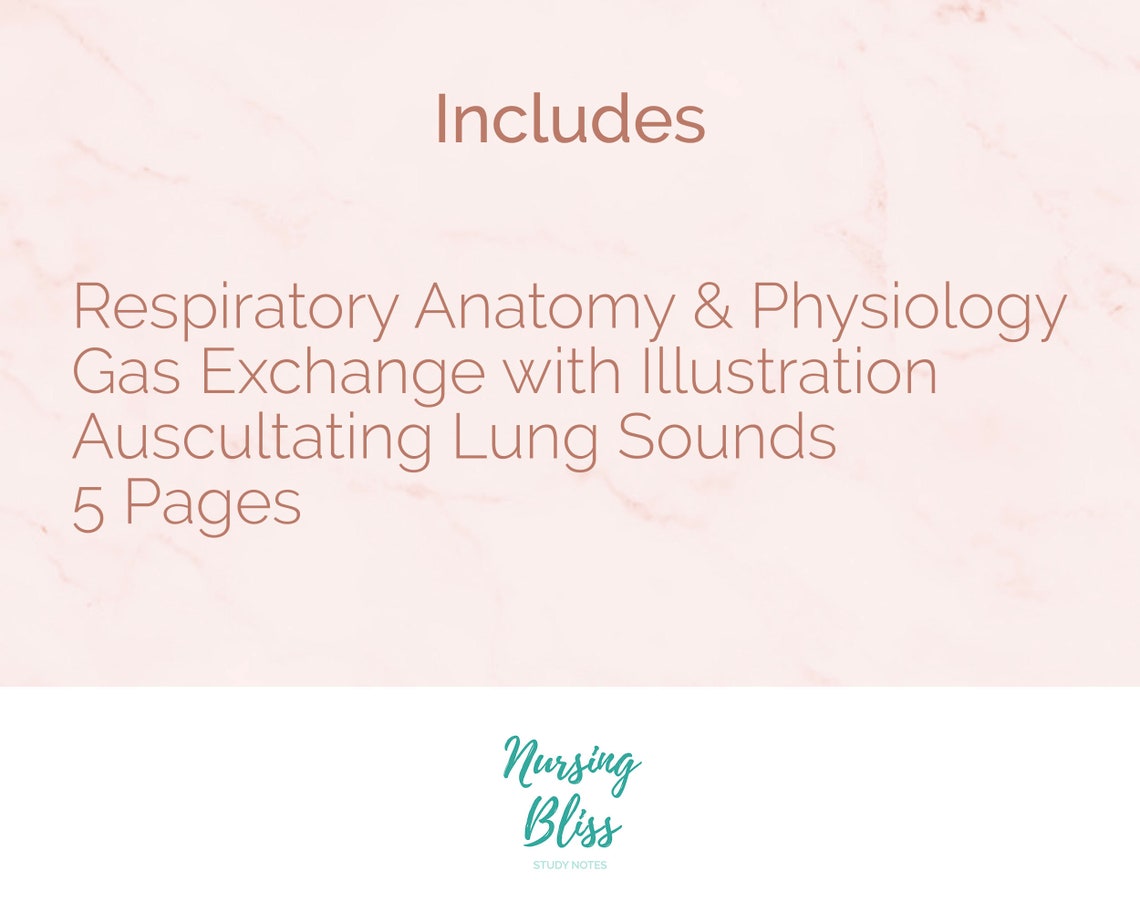 Respiratory System Nursing Notes | Student Study Guides | Auscultating ...