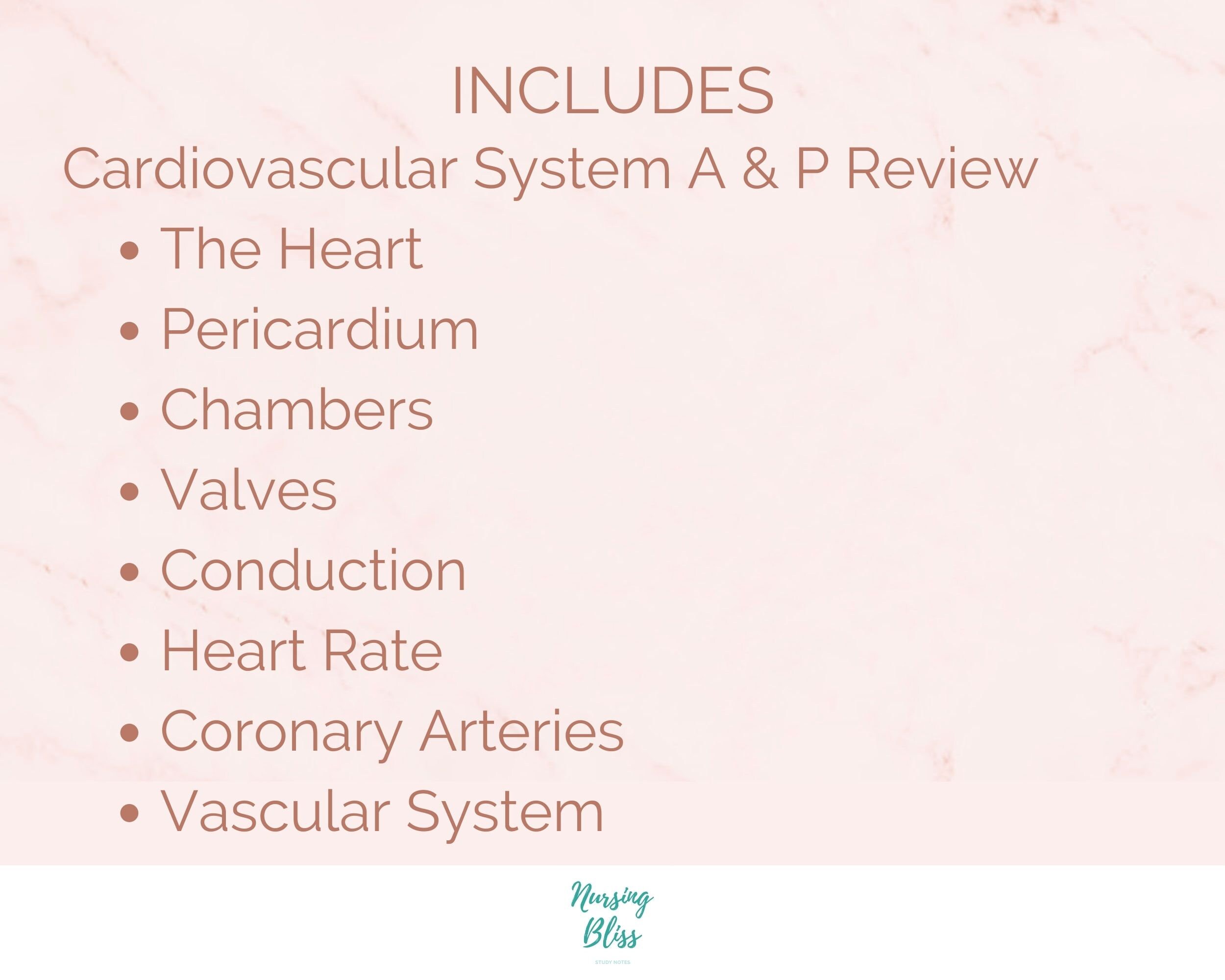Cardiovascular System A & P Study Guide | Nursing Notes | the Heart ...