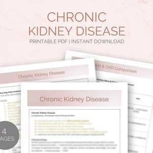 Renal / Urinary System Bundle Study Guide Nursing Notes | UTI | Calculi ...