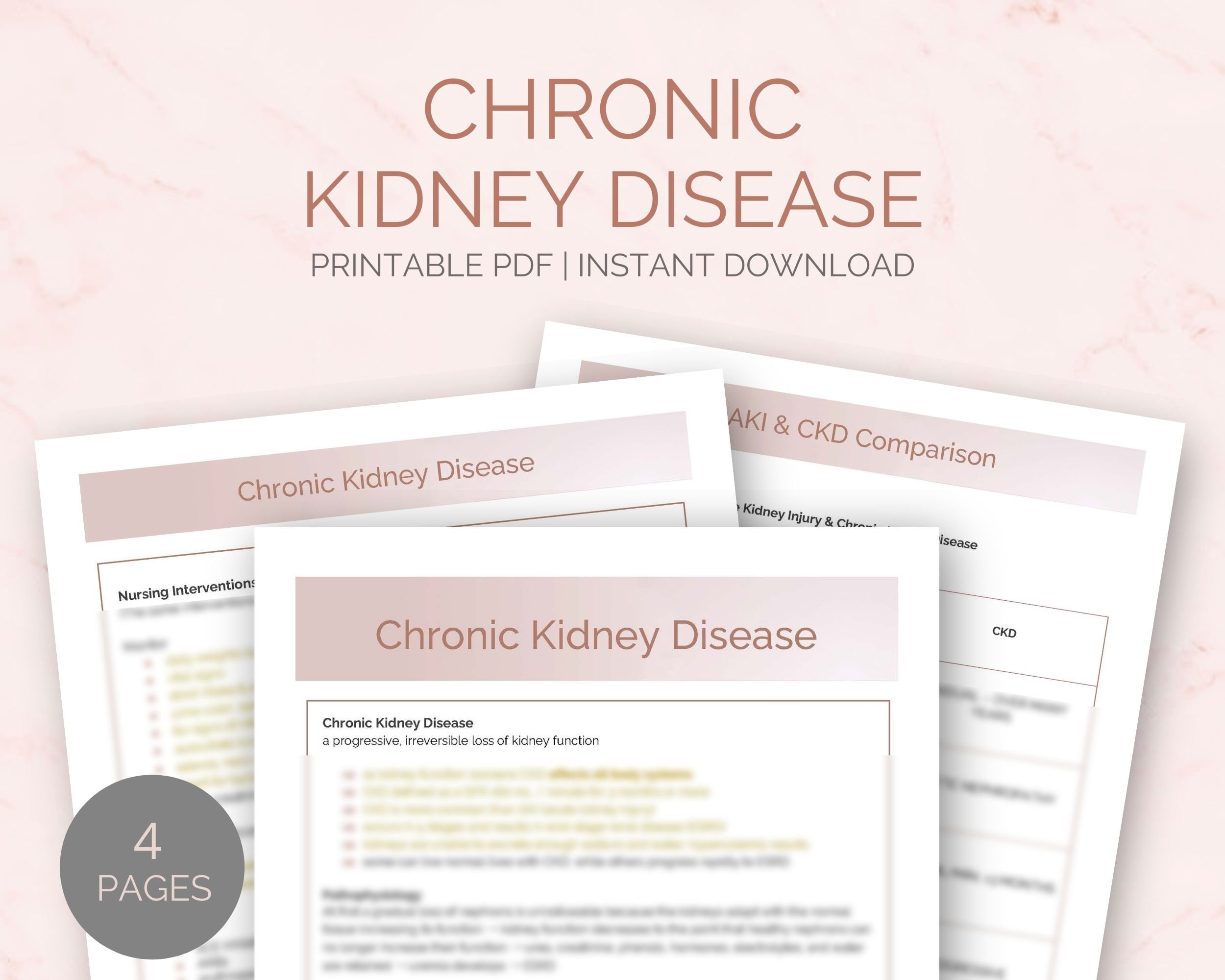 Renal / Urinary System Bundle Study Guide Nursing Notes UTI - Etsy