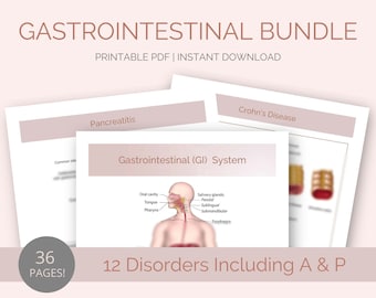 The Digestive System Study Notes - Etsy