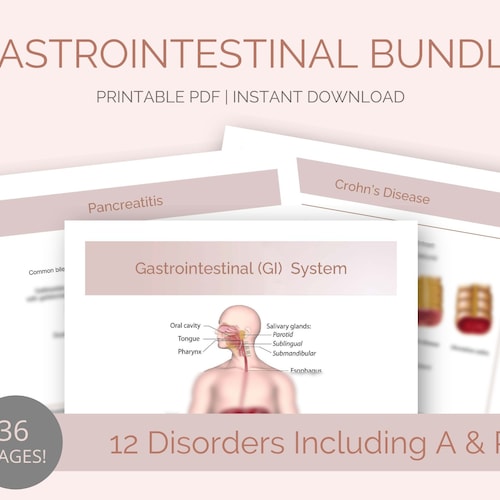 GI Disorders Bundle Nursing Notes Student Study Guides - Etsy