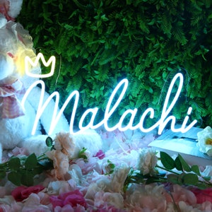 Neon Name Neon Sign Custom Wall Decor, Family Name Sign Wedding Decor ...