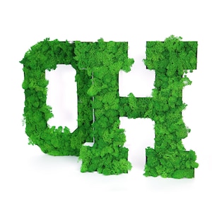 Custom Moss Letters,wall Moss Office Sign,vertical Moss Art, Natural ...