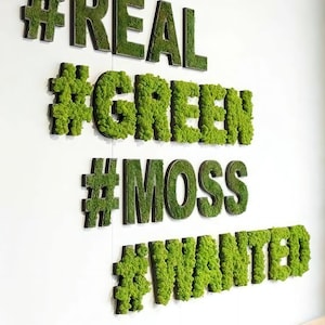 Custom Moss Letters,wall Moss Office Sign,vertical Moss Art, Natural ...