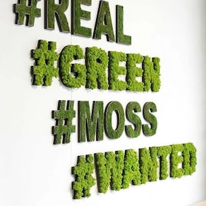 Customized Moss Logo,3d Moss Wall Letters, Shop Logo Sign,salon Logo ...