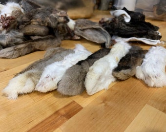 Rabbit Feet 6 Matched Pair Rear Feet 12 Total Feet - Etsy
