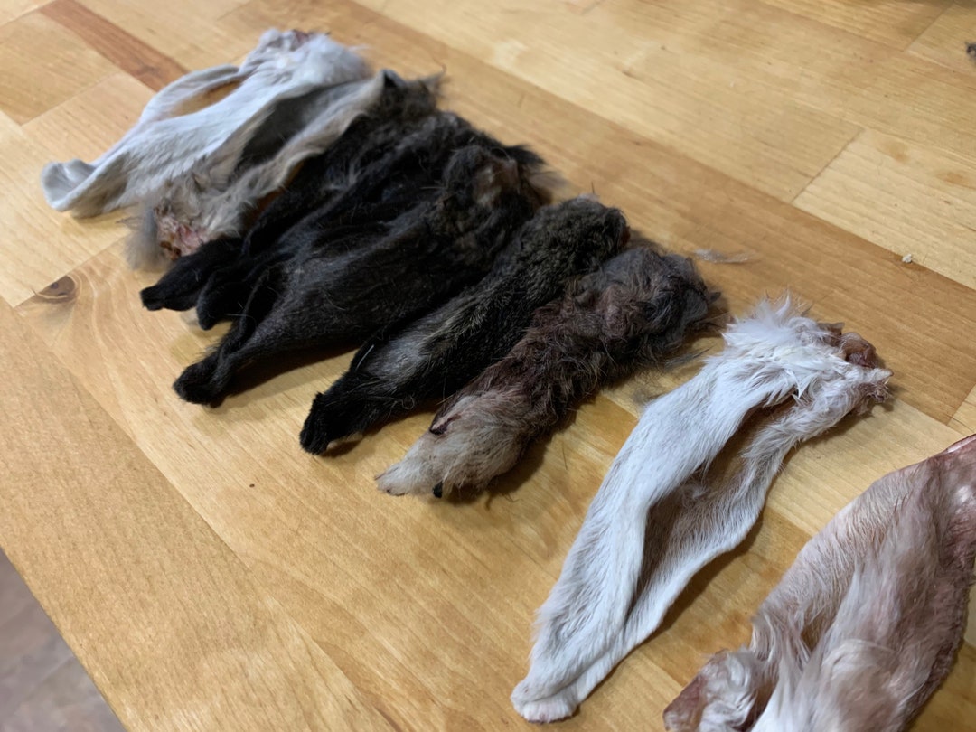 Rabbit Ear Chews - 10 Pcs - Etsy