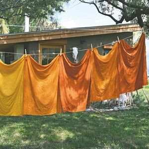 Farm & Folk Quilt Alchemy- Guide to Natural Dyeing and Making Heirloom ...