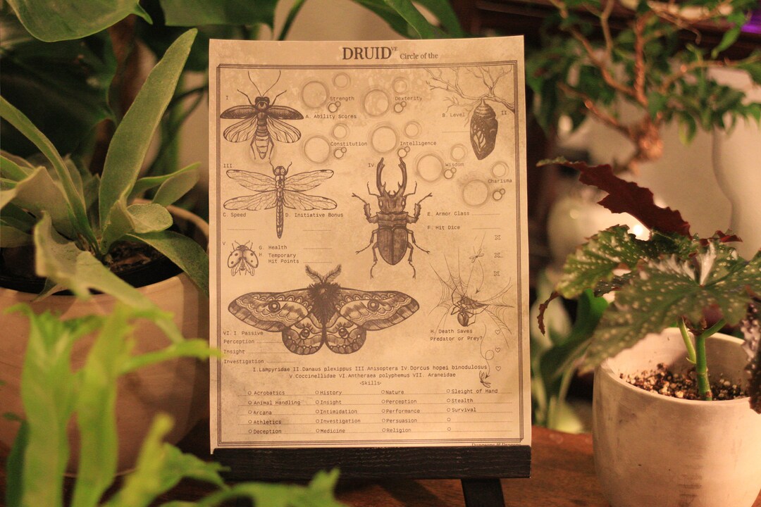 Flora & Fauna Druid Character Sheet Dungeons and Dragons 5e - Etsy UK