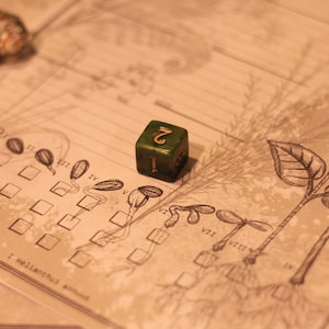 Flora & Fauna Druid Character Sheet Dungeons and Dragons 5e - Etsy UK