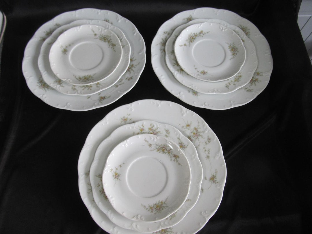 Vintage Set of 9 Plates Rosenthal Classic Rose Dining Plates, Dessert ...