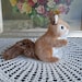 Steiff Ricky Red Squirrel Plush Knopf Im Ohr 2030/20 German Collectible ...