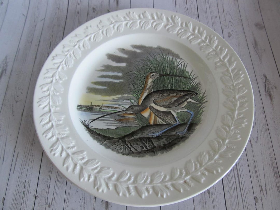 Vintage Audubon Bird Plate: Adams Pottery England Decorative Dish - Etsy