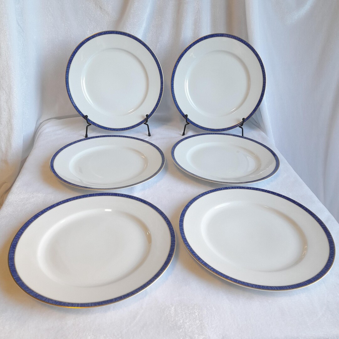 Vintage Set of 6 Unused Dinner Plates Rosenthal Classic Rose Azur, Blue ...