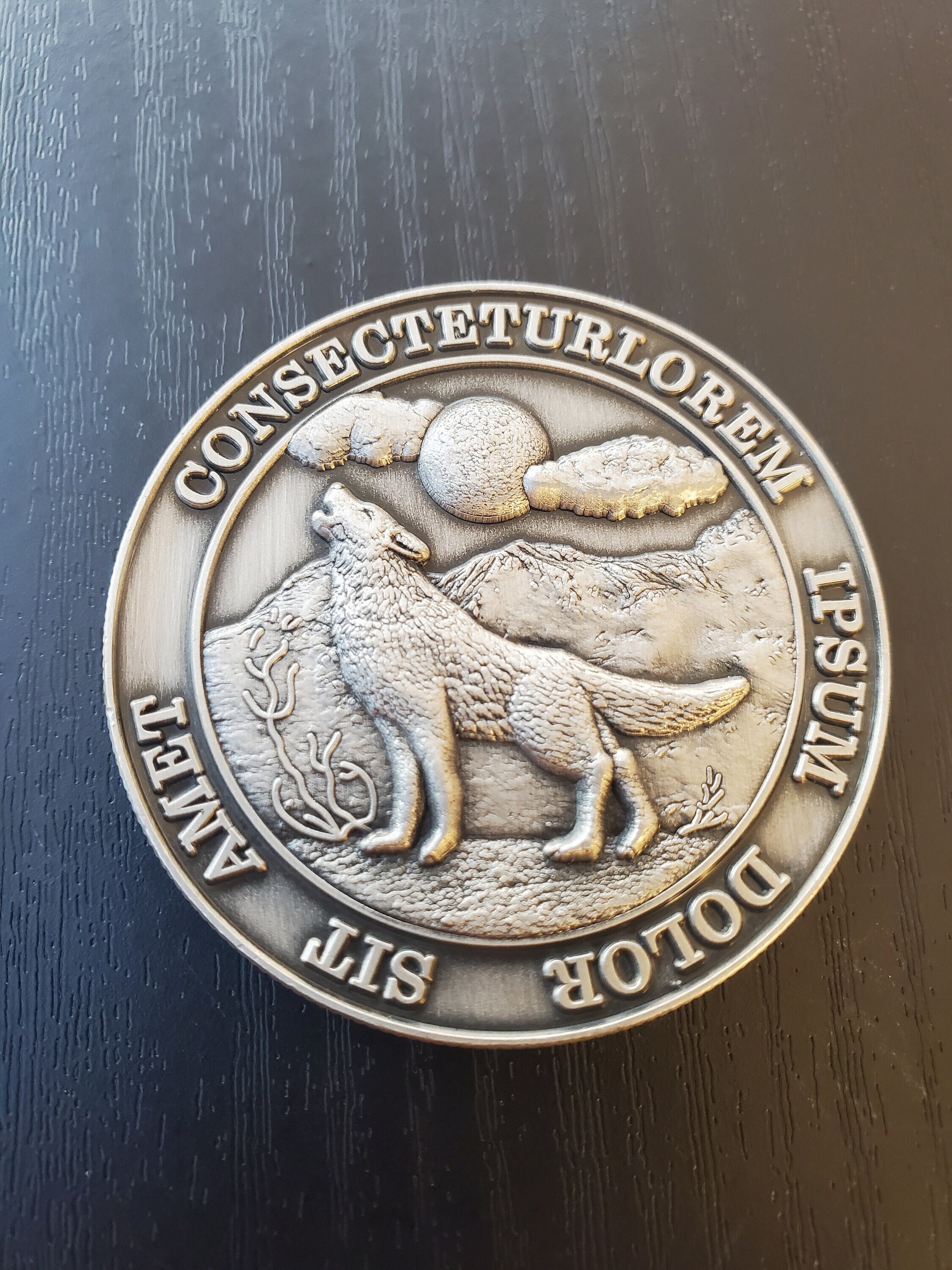 Resident Evil Lei Coin | Metal - Etsy