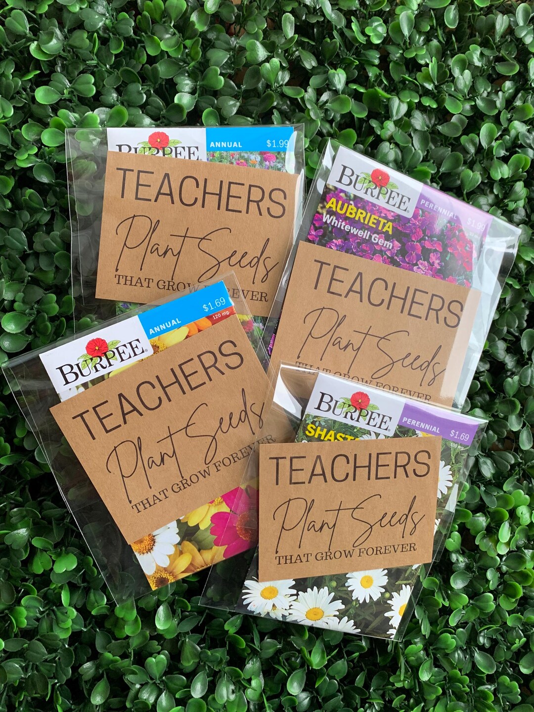 End of School Year Gift, Plant Seeds, Teacher Appreciation, Teacher ...