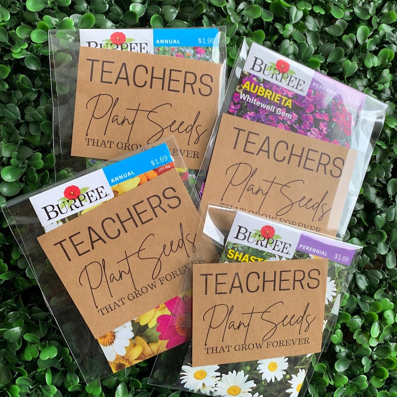 Teachers Plant Seeds - Etsy