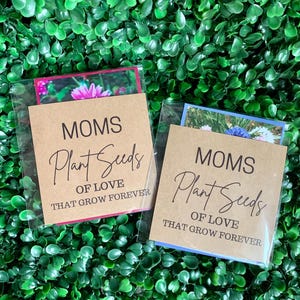 Moms Plant Seeds, Mama Mother's Day, Mom Gift, Mamas Plant Seeds That ...