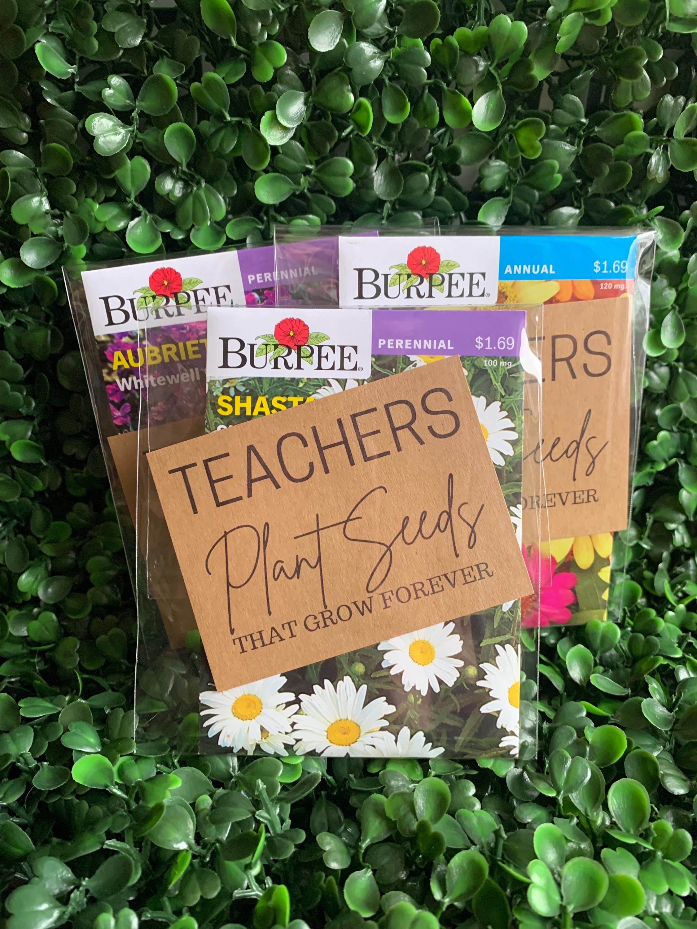 Teacher Flowers, Teacher Appreciation, Teacher Flower Gift, Teachers ...