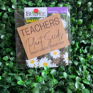 End of School Year Gift, Plant Seeds, Teacher Appreciation, Teacher ...