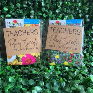 End of School Year Gift, Plant Seeds, Teacher Appreciation, Teacher ...
