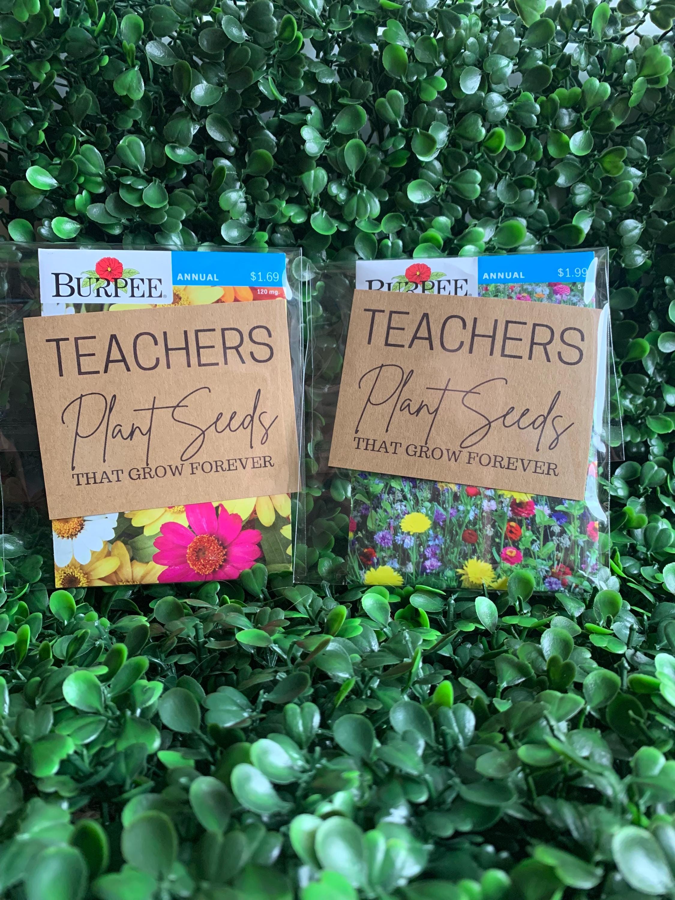 Teachers Plant Seeds, Teacher Appreciation, Teacher Gift, Teachers ...