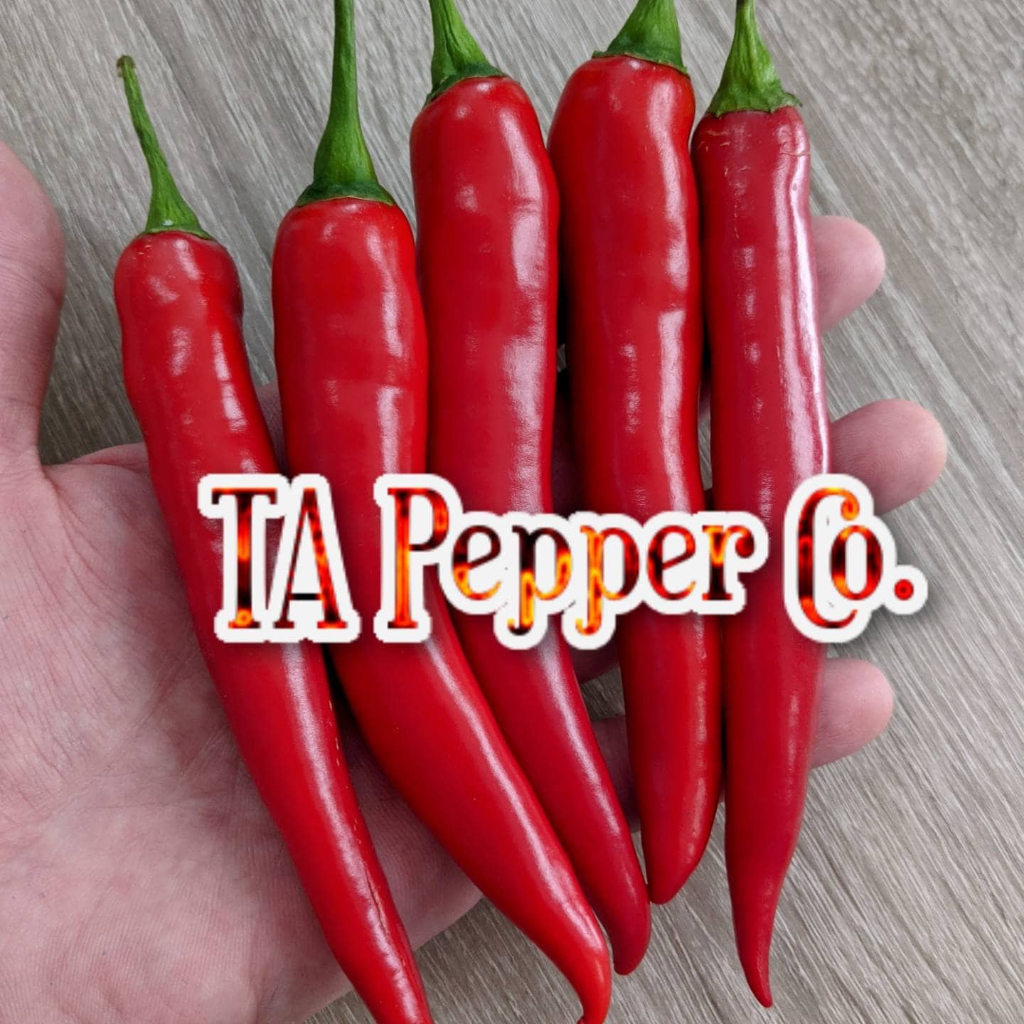 20 Gochu Pepper Seeds tapeppercom Gochugaru padded Envelope Shipping ...