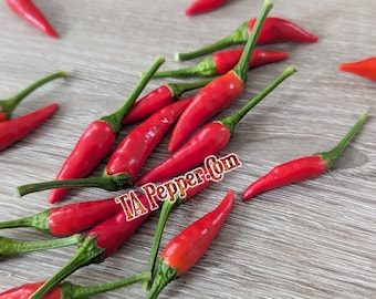 15 Numex Pinata Pepper Seeds isolated-padded Envelope Shipping ...