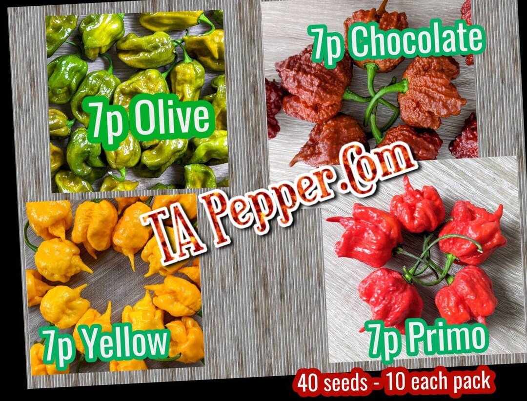 7 Pot Pepper Variety Seed 4pk. Padded Envelope Shipping, Tracking ...