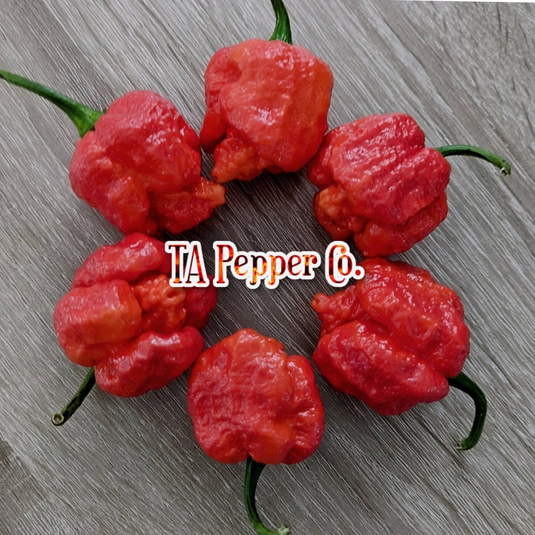 15+ Red Moruga Scorpion Pepper Seeds -tapeppercom -padded Envelope ...