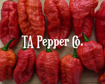 Doux D'espagne the Famous Basque Region Heirloom Pepper Premium Seed ...