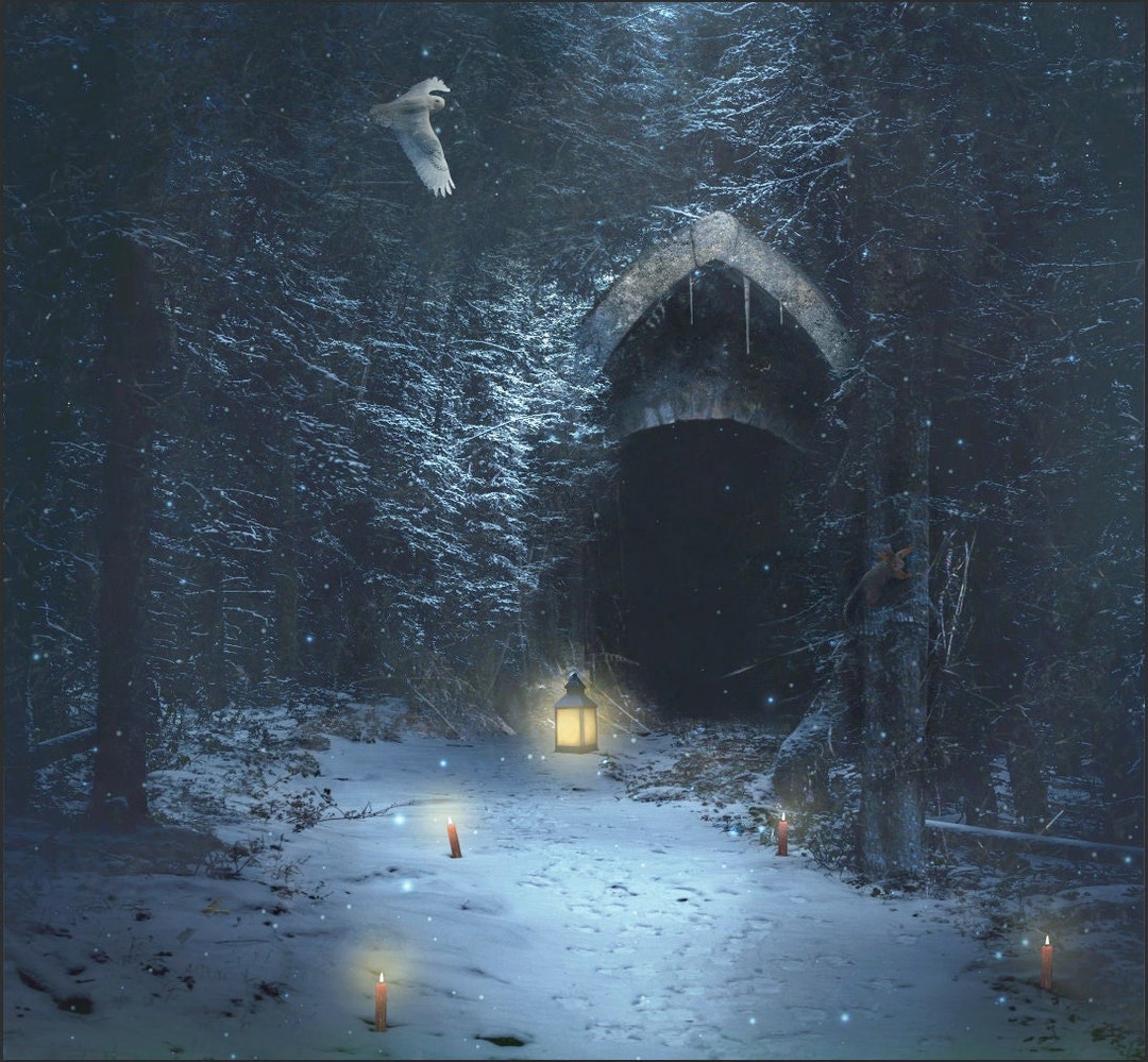 Winter Forest Fantasy Art Print - Etsy