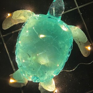 GIANT Turtle Nightlight - Etsy