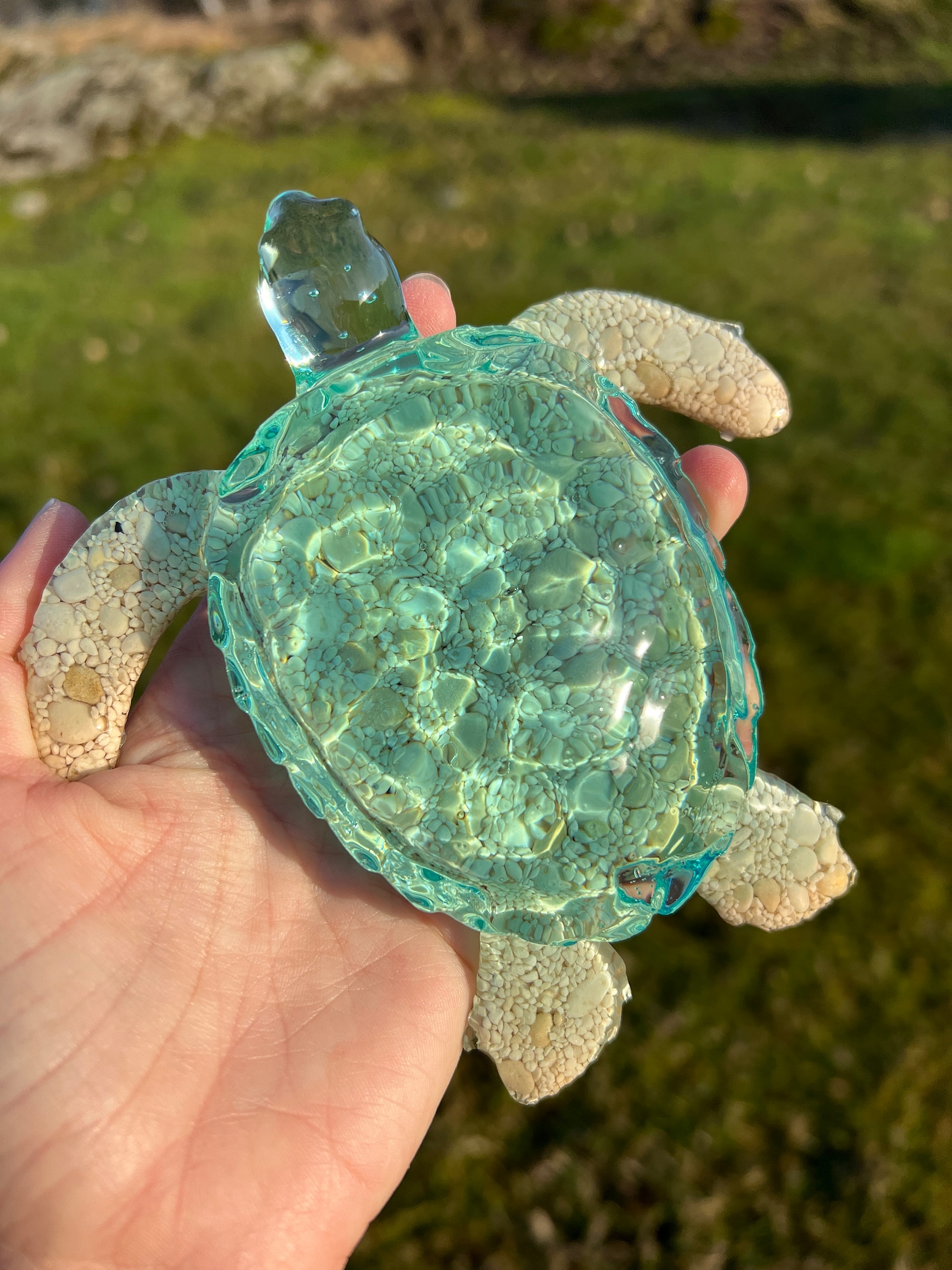Ocean Turtle -X- Large - Etsy
