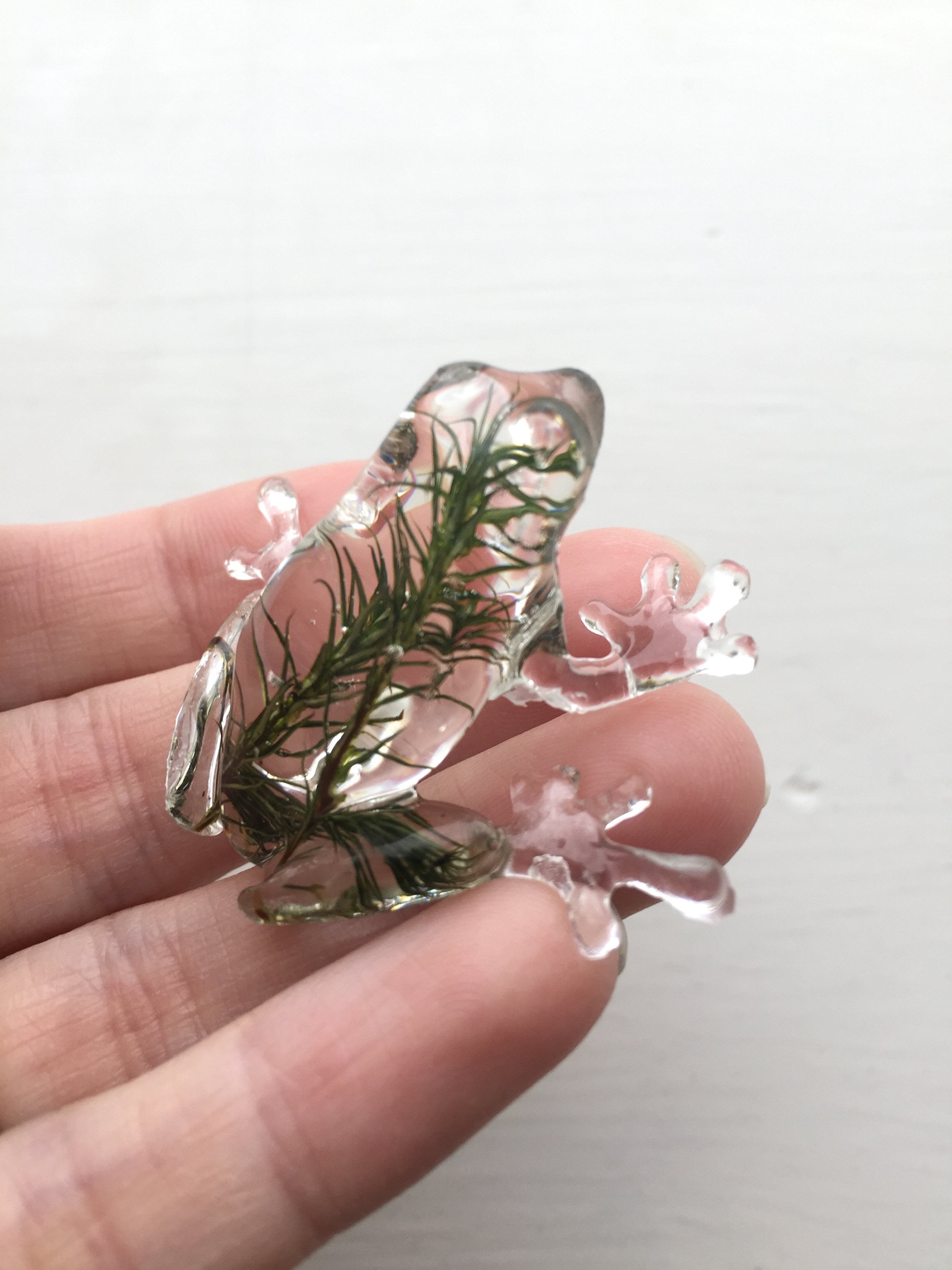 Frog Silicone Mold / Resin Mold - Etsy UK