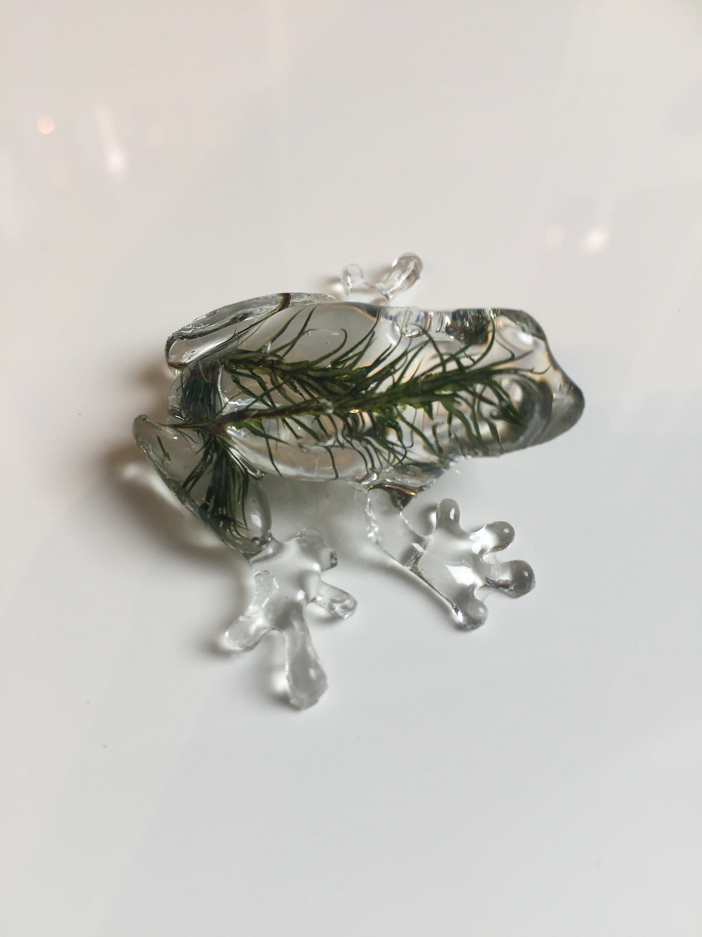 Frog silicone mold / Resin mold | Etsy