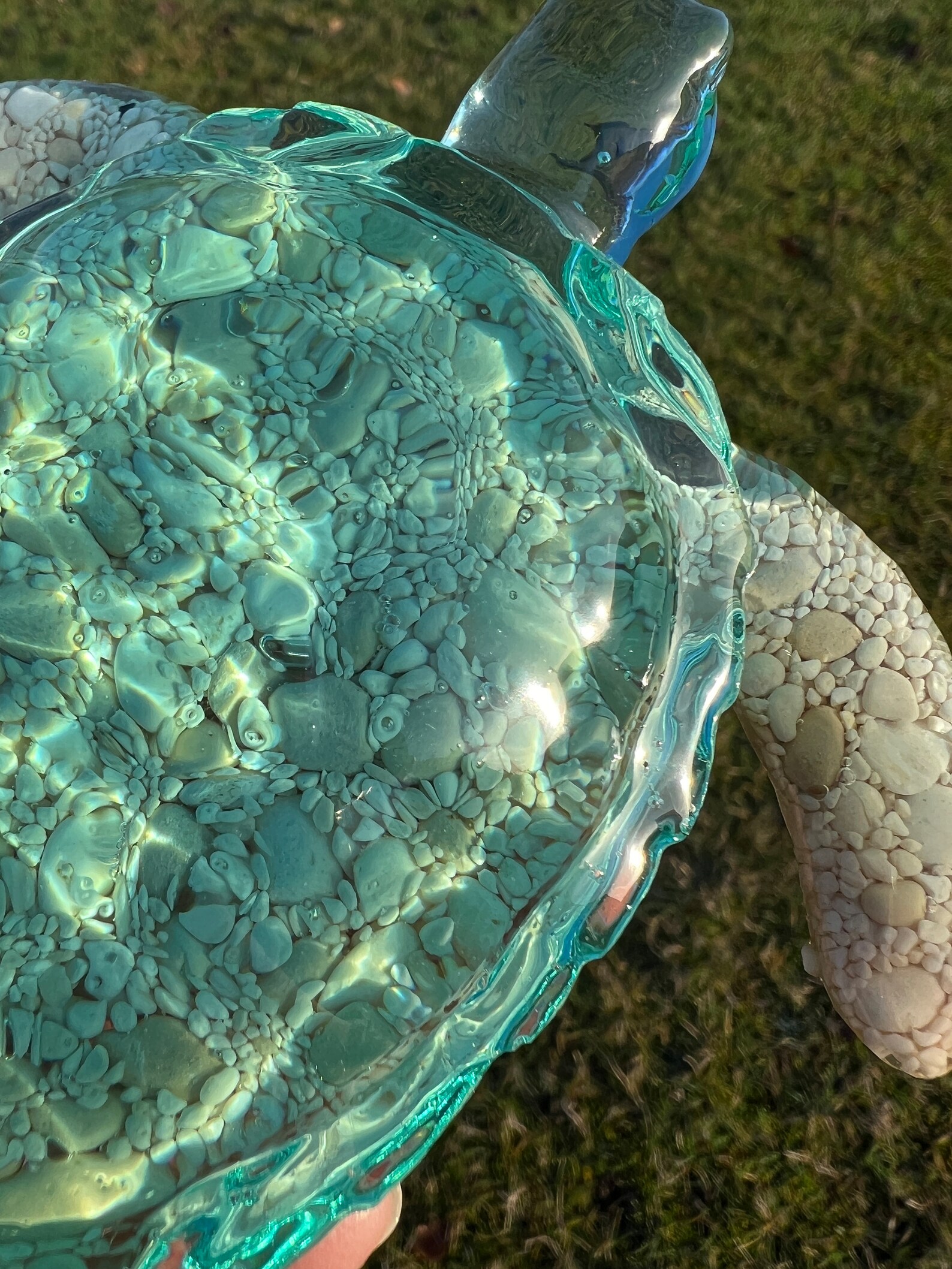 Ocean Turtle -X- Large - Etsy