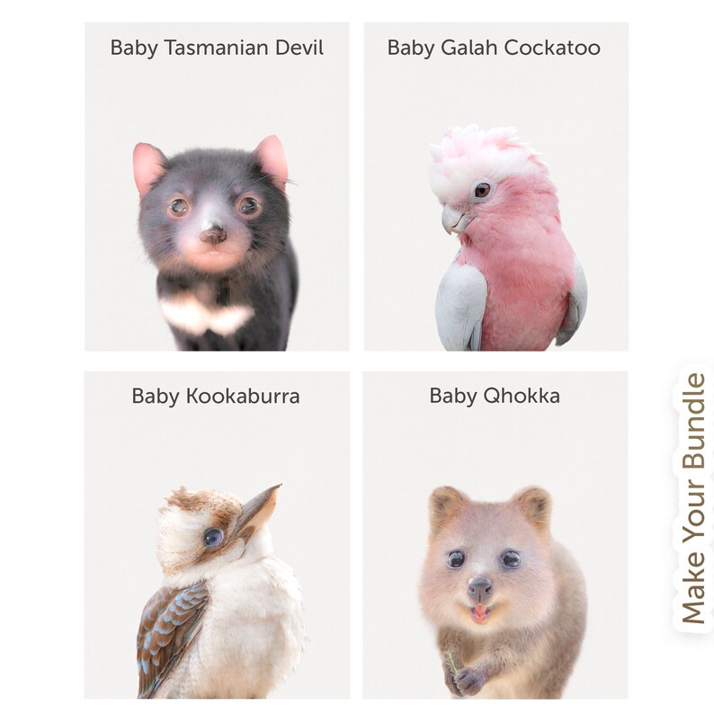 DIGITAL Australian Animal Wall Art, Aussie Animals, Baby Koala Nursery ...