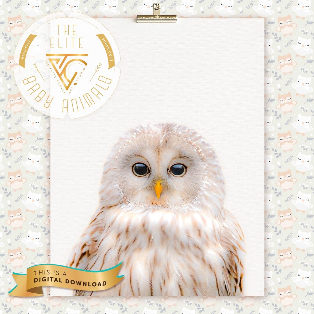 Cute PRINTABLE Baby Owl Gift Nursery Wall Art Decor Cute Owl - Etsy