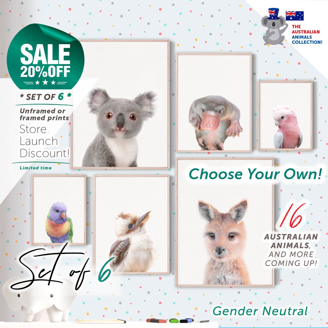 SET OF 6, Australian Animal Wall Art PRINTS, Australian Animals Poster ...