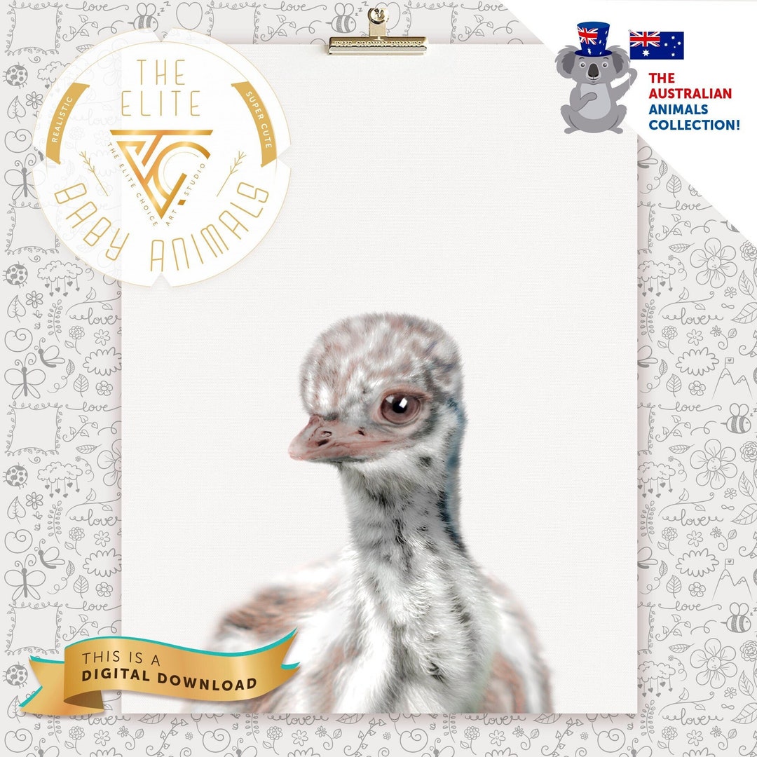 DIGITAL Nursery Emu Chick Decor, Emu Chick, Emus, Aussie Animals, Bird ...