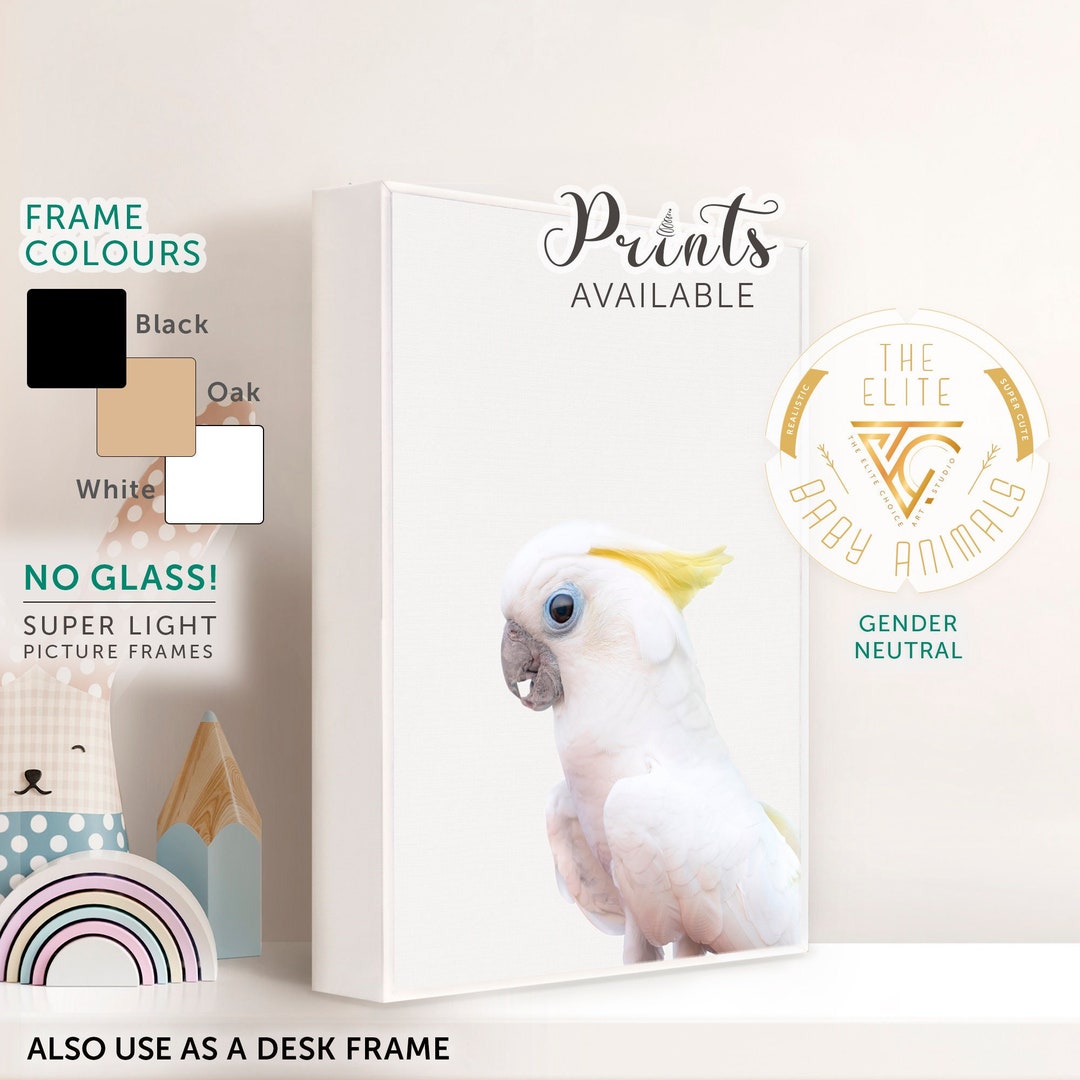 Sulphur Crested Cockatoo Wall Art PRINT, Yarn Art Bird, Bird Themed ...