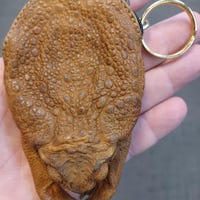 Cane Toad Coin Purse - Etsy