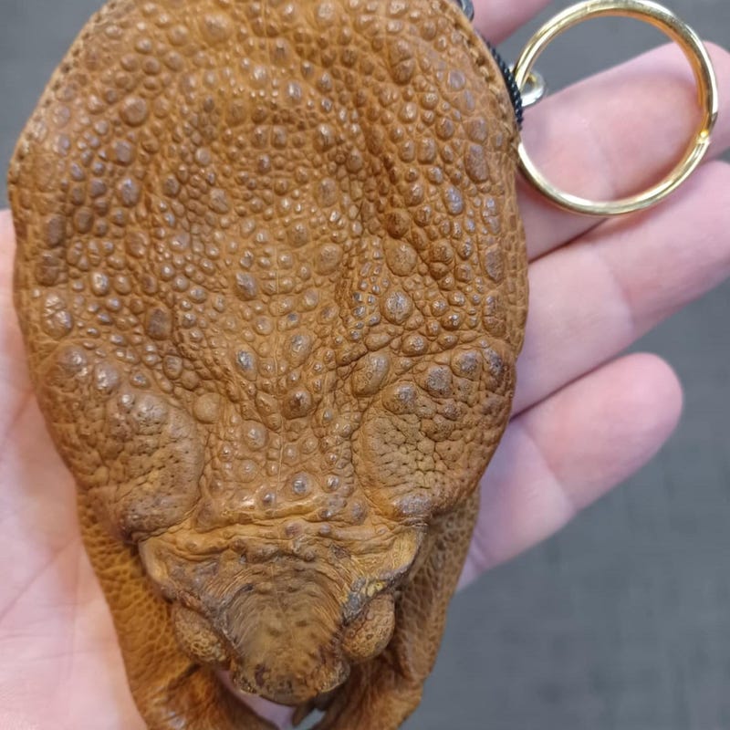 Frog Coin Purse - Etsy