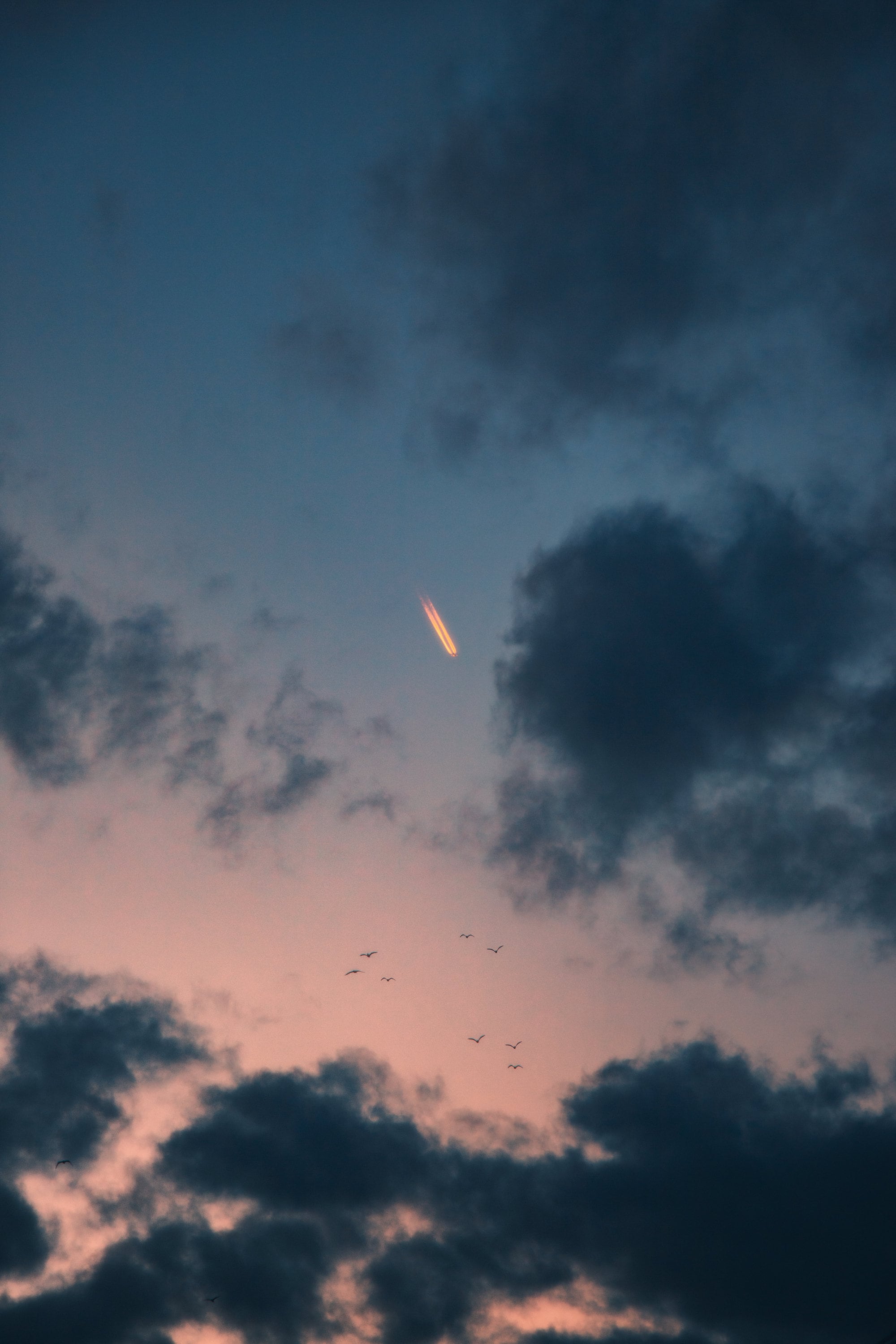 Soar Through the Sky With the Birds and Planes - Sunset Photography ...
