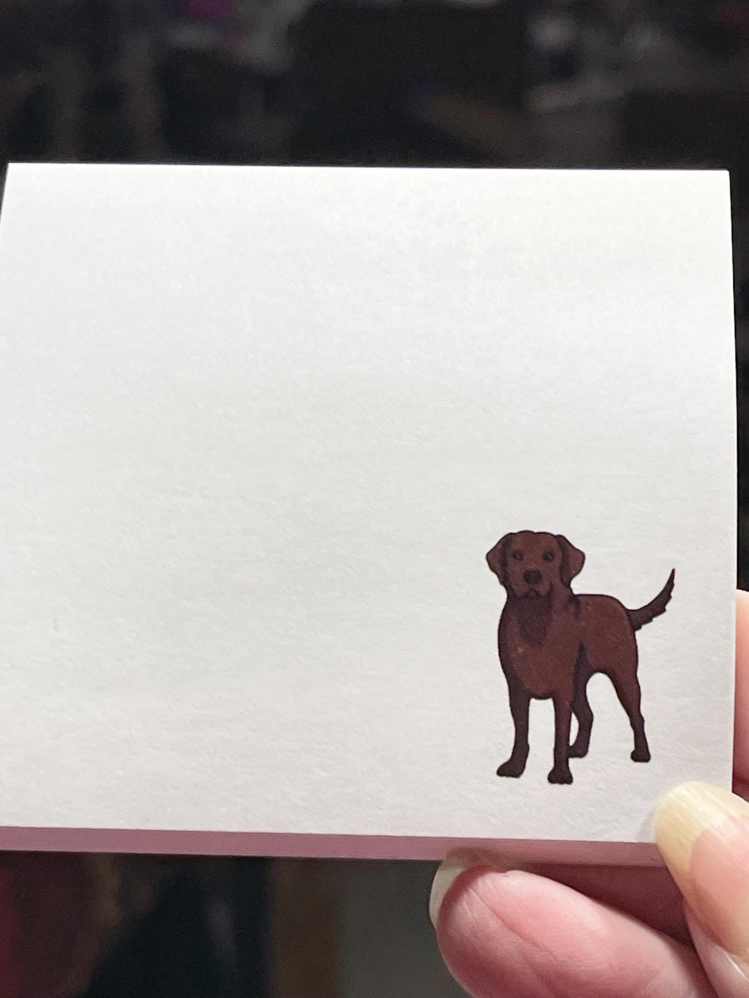 Chocolate Labrador Sticky Notes, Cute Labrador Dog Notepad Stationery ...